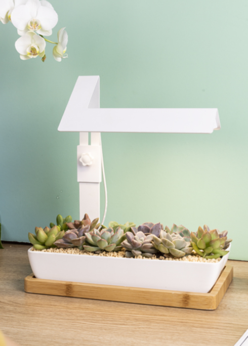 What is the Effectiveness of optical radiation in Plant Lamp