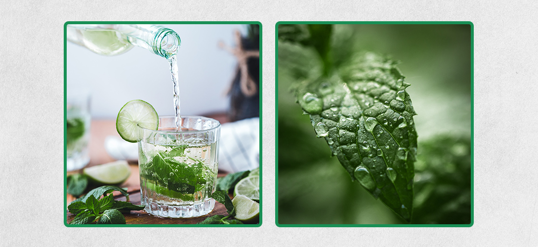 Sunlight Lamp For Plants to enrich your bedroom